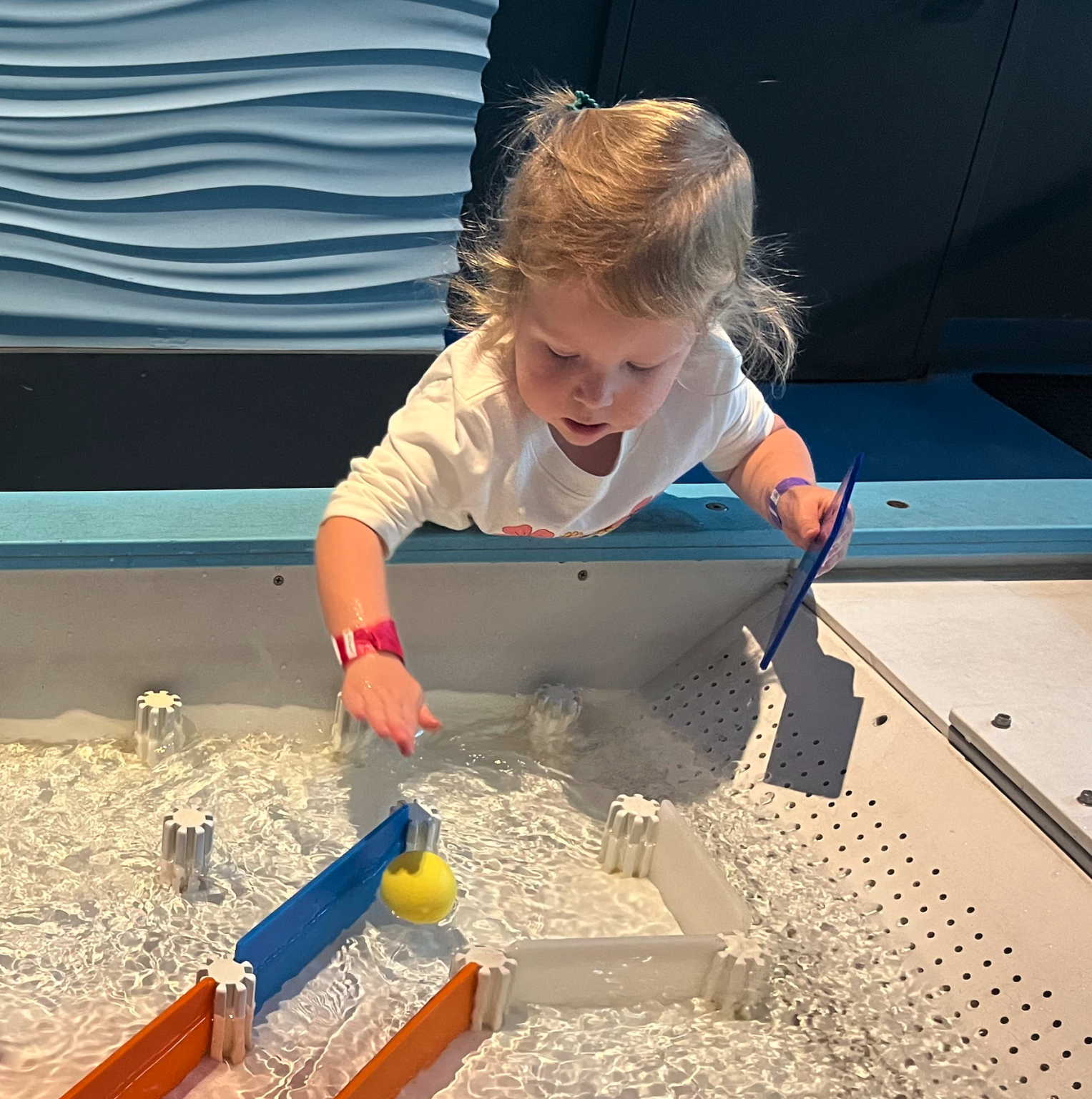 KC Indoor Water Fun + 14 Swim Lesson Places