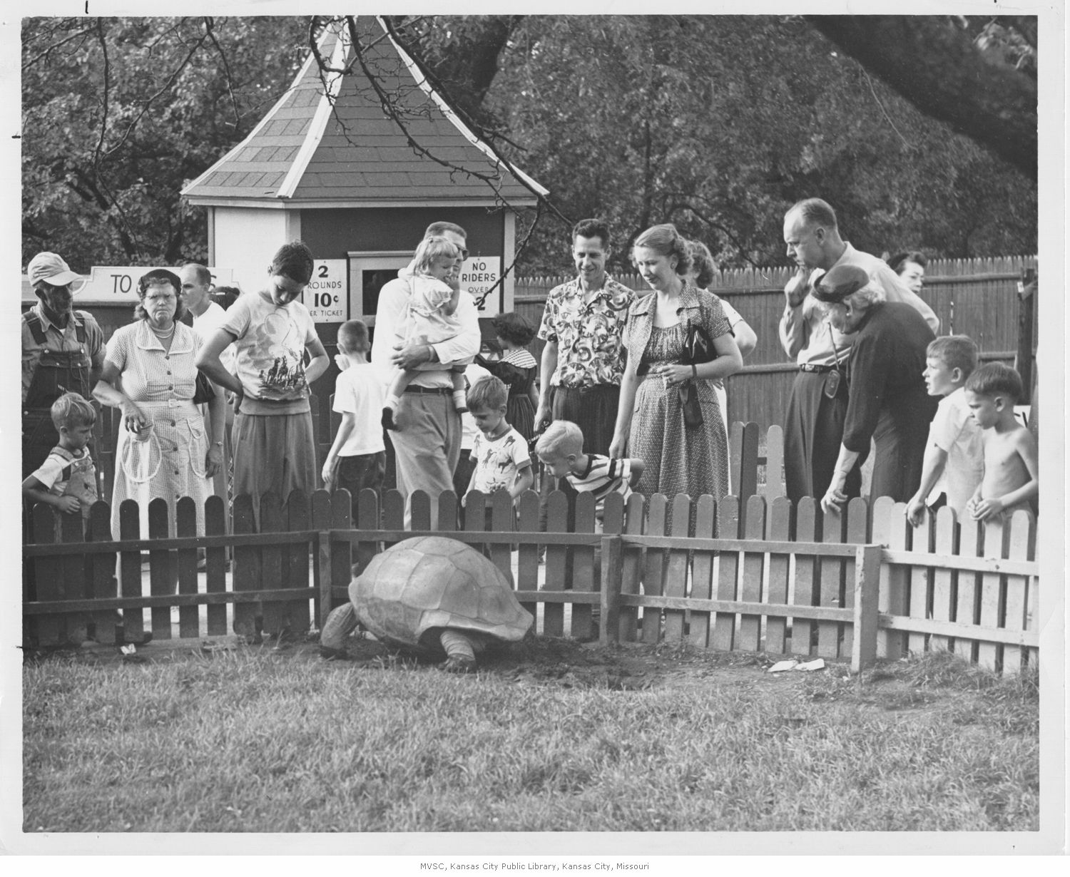 Kansas City Zoo History: Then vs Now (Aquarium, Exhibits & Expansion)